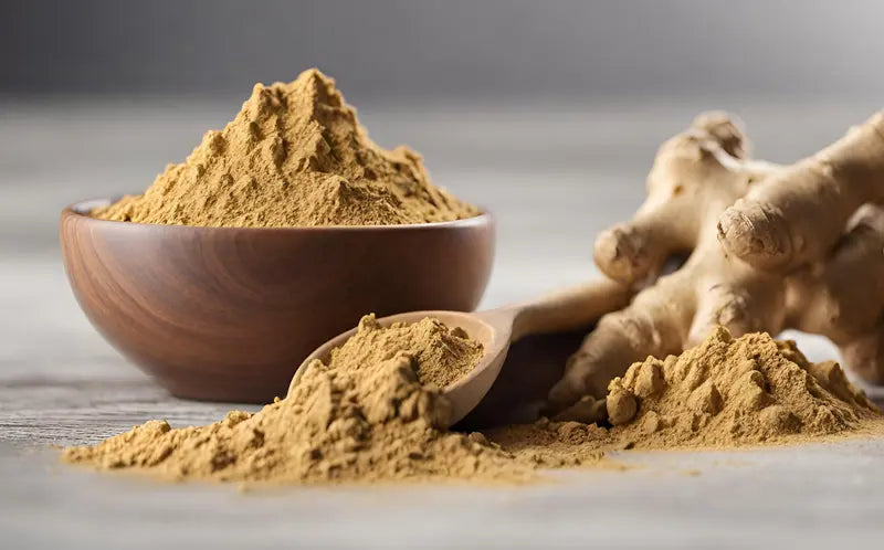 Gingerol Powder Extract - 15 Benefits Of Ginger Powder – VERSUS™