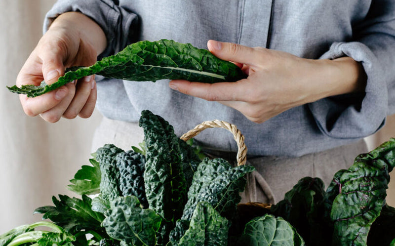 Vegetable Collagen: A Green Approach to Health and Beauty – VERSUS™